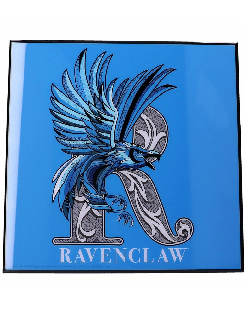 Obraz Harry Potter - Ravenclaw Crystal Clear Art Pictures (Nemesis Now ...